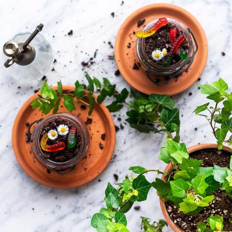 Chocolate Pudding Dirt Cups Recipe (aka Worms in Dirt Dessert) For the ...