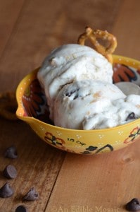 Chocolate Peanut Butter Pretzel Fro-Yo {Made Without an Ice Cream Maker ...