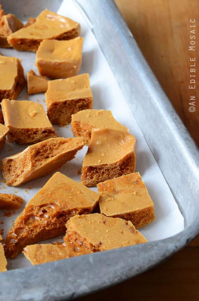Chocolate-Covered Sponge Candy - An Edible Mosaic™