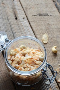 5-Ingredient Vanilla-Scented Toasted Coconut-Cashew Mix {Paleo} - An ...