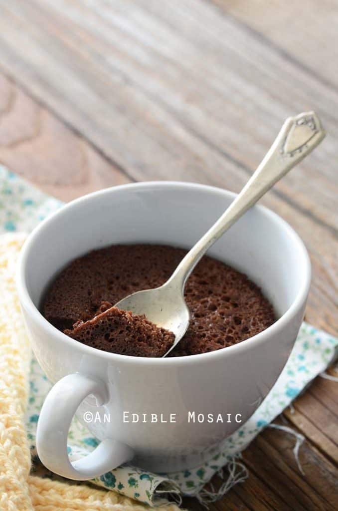Healthy Chocolate Mug Cake Recipe (Paleo) - An Edible Mosaic™