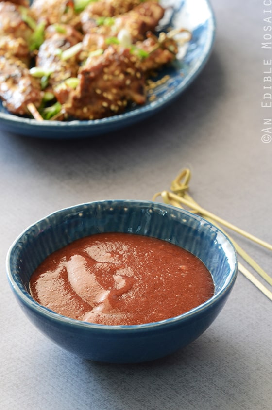 Chinese-Inspired Plum Sauce {Paleo} - An Edible Mosaic™