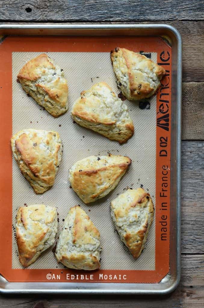 Christmas Morning Scones (The Original Recipe!) - An Edible Mosaic™