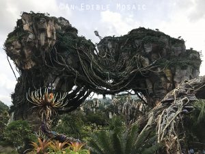 Disney Pandora – The World of Avatar at Disney’s Animal Kingdom