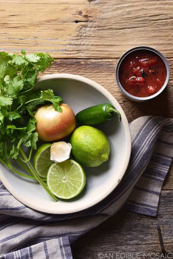 BEST Blender Restaurant Style Salsa Recipe - An Edible Mosaic™