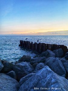 The Best St Petersburg, FL Beaches - An Edible Mosaic™