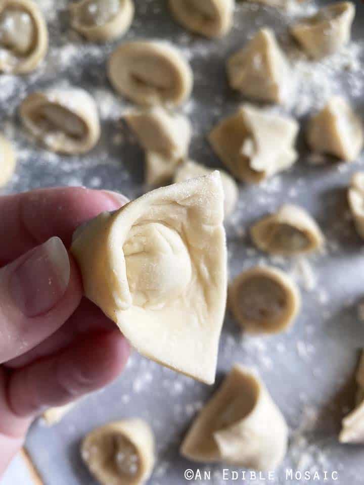 Pelmeni Recipe (Russian Dumplings) - An Edible Mosaic™