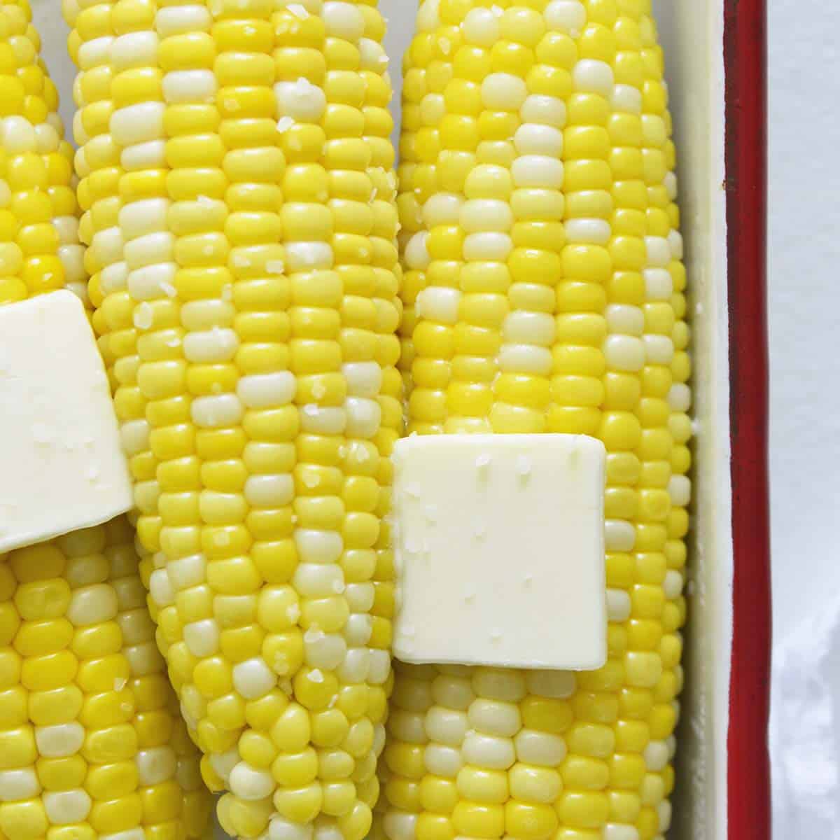 High Moisture Ear Corn
