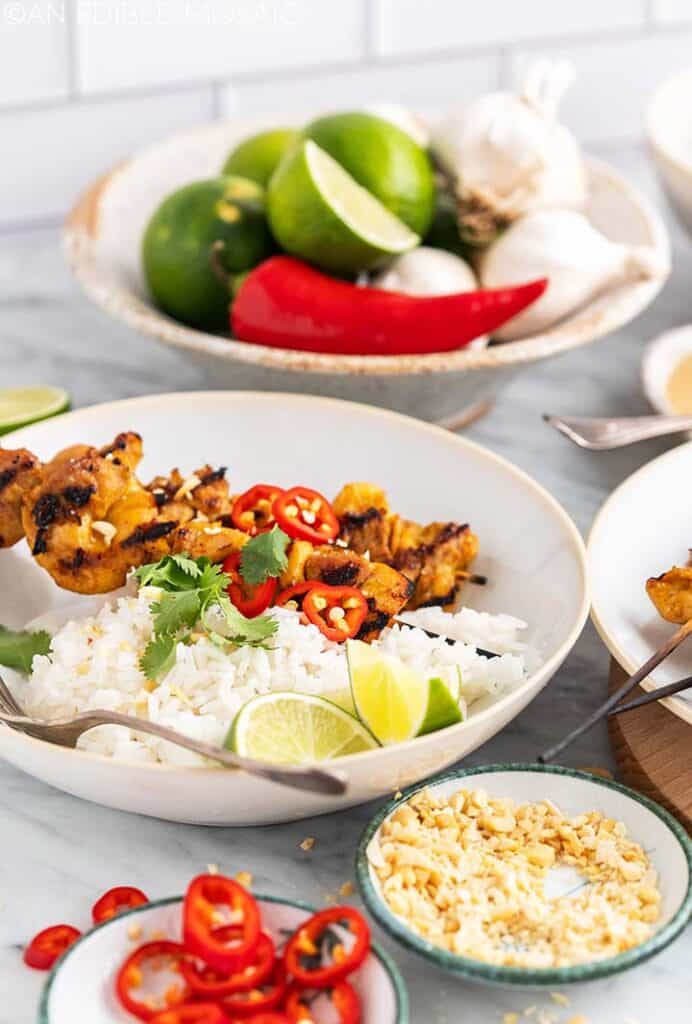 Easy Chicken Satay Recipe with Homemade Peanut Sauce - An Edible Mosaic™