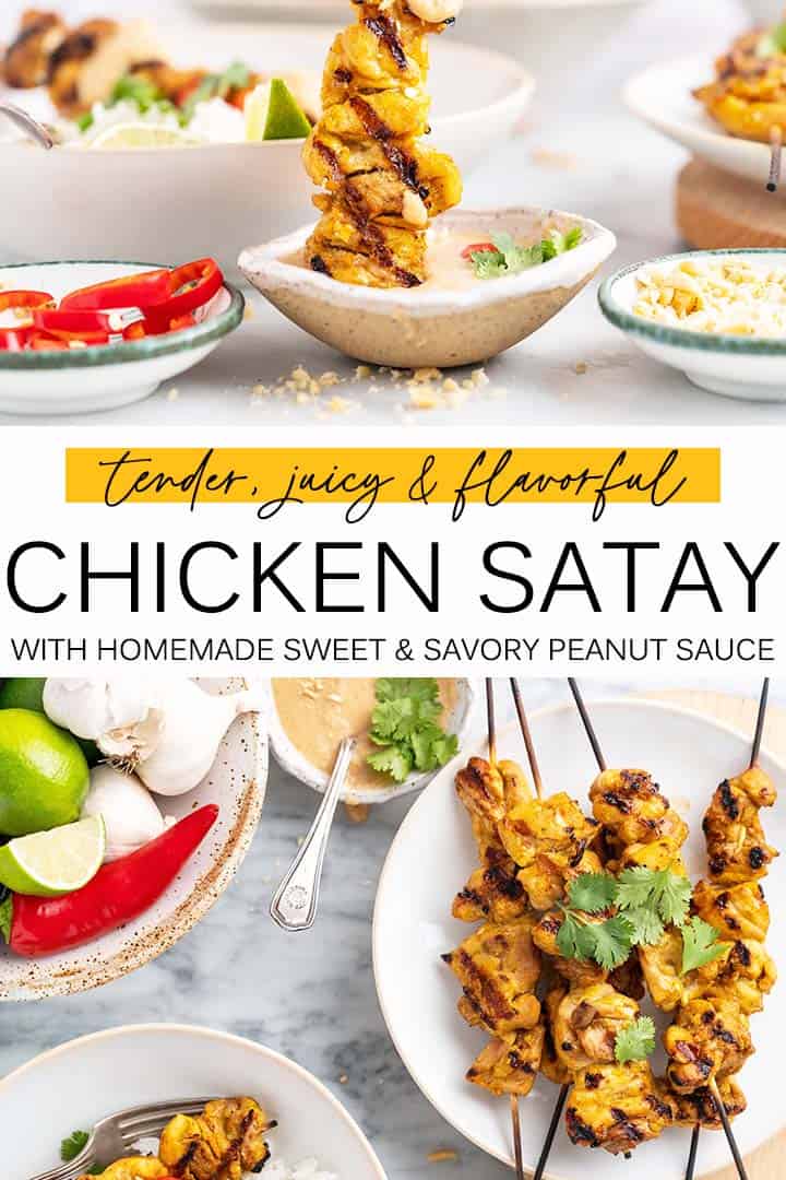 Easy Chicken Satay Recipe with Homemade Peanut Sauce - An Edible Mosaic™