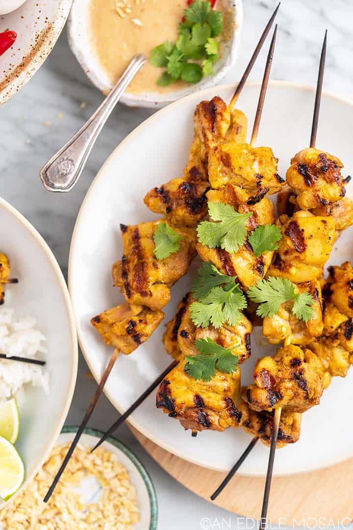 Easy Chicken Satay Recipe with Homemade Peanut Sauce - An Edible Mosaic™