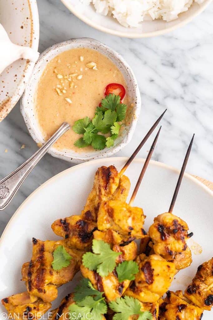 Easy Chicken Satay Recipe with Homemade Peanut Sauce - An Edible Mosaic™