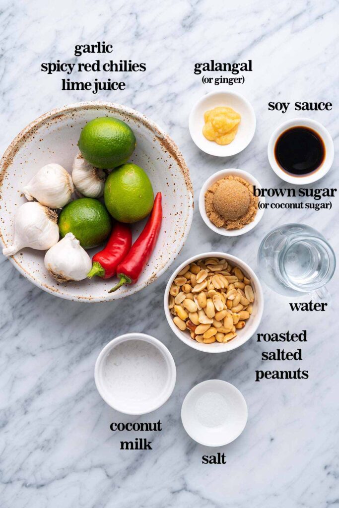 Easy Chicken Satay Recipe with Homemade Peanut Sauce - An Edible Mosaic™
