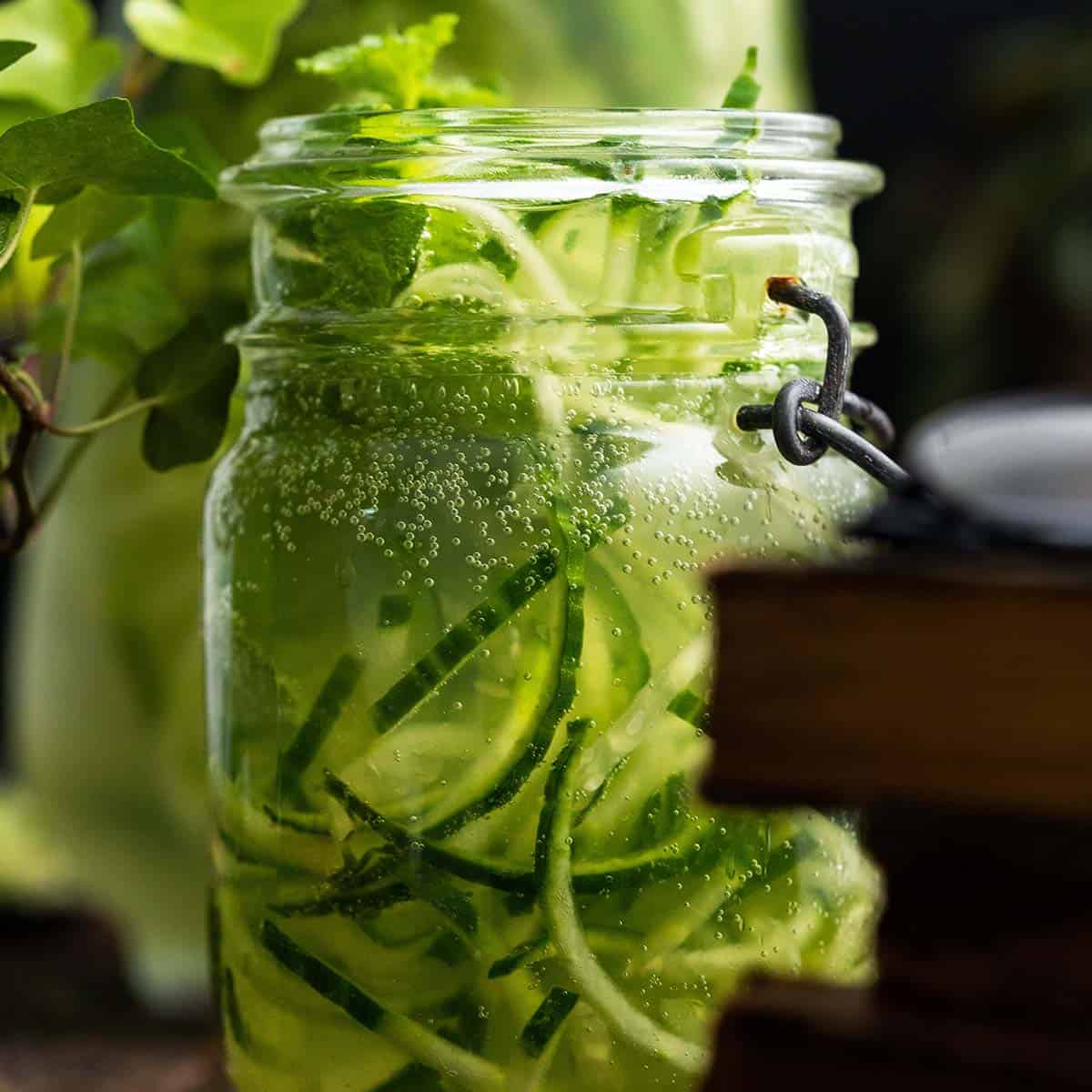 Easy 4-Ingredient Gillywater (Harry Potter Inspired Gillyweed Water ...