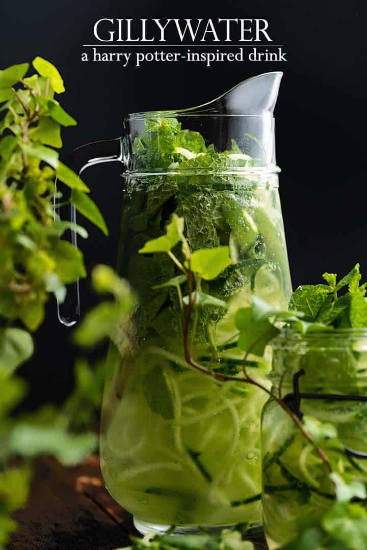 Easy 4-Ingredient Gillywater (Harry Potter Inspired Gillyweed Water ...