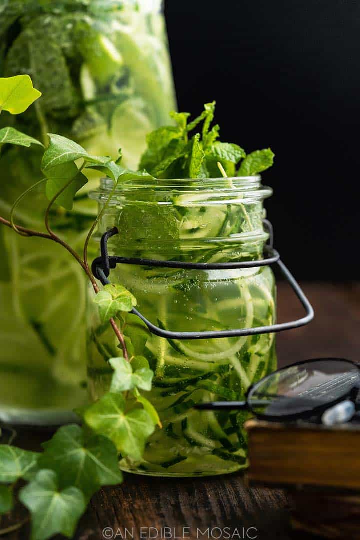 Easy 4-Ingredient Gillywater (Harry Potter Inspired Gillyweed Water ...