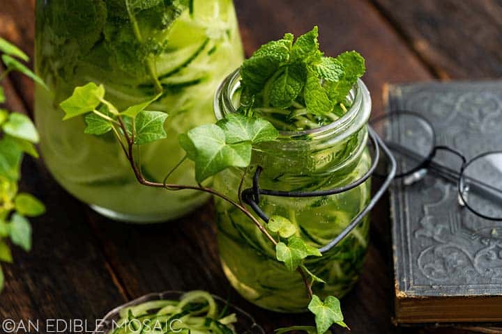 Easy 4-Ingredient Gillywater (Harry Potter Inspired Gillyweed Water ...