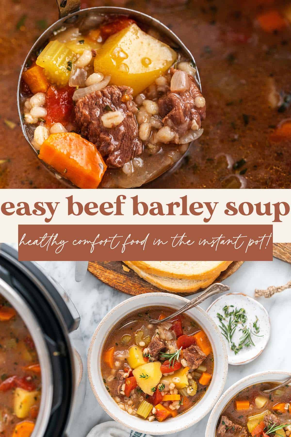 Instant Pot Beef Barley Soup Recipe - An Edible Mosaic™