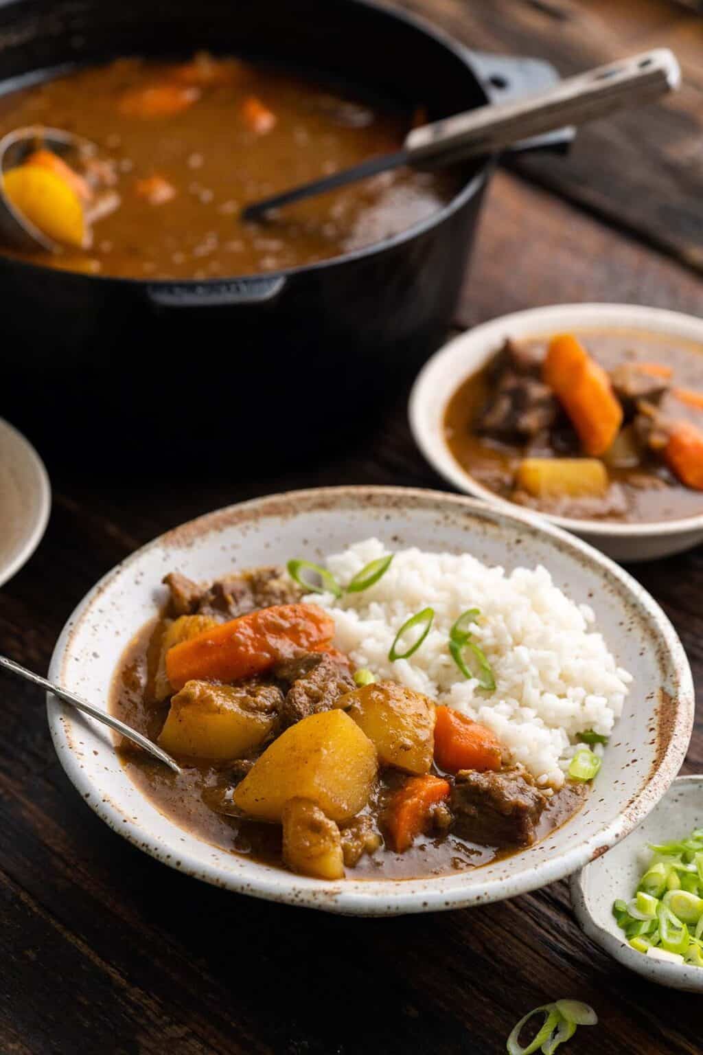 Sweet and Savory Japanese Beef Curry with Easy Curry Roux - An Edible ...