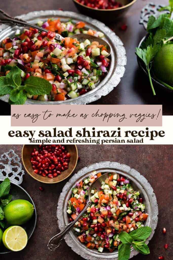 Salad Shirazi Recipe - An Edible Mosaic™