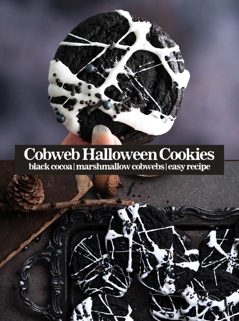 Easy Cobweb Halloween Cookies Recipe {video} - An Edible Mosaic™