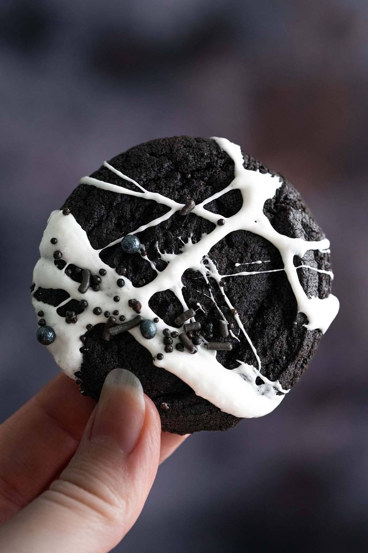 Easy Cobweb Halloween Cookies Recipe {video} - An Edible Mosaic™