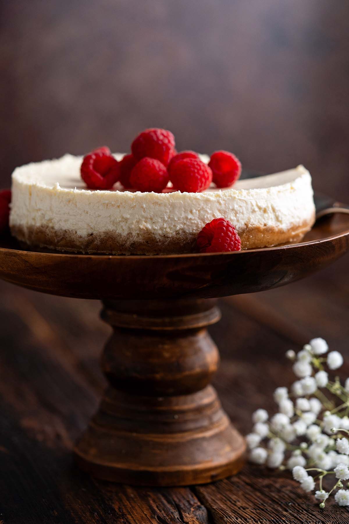 Protein Cheesecake Recipe - An Edible Mosaic™