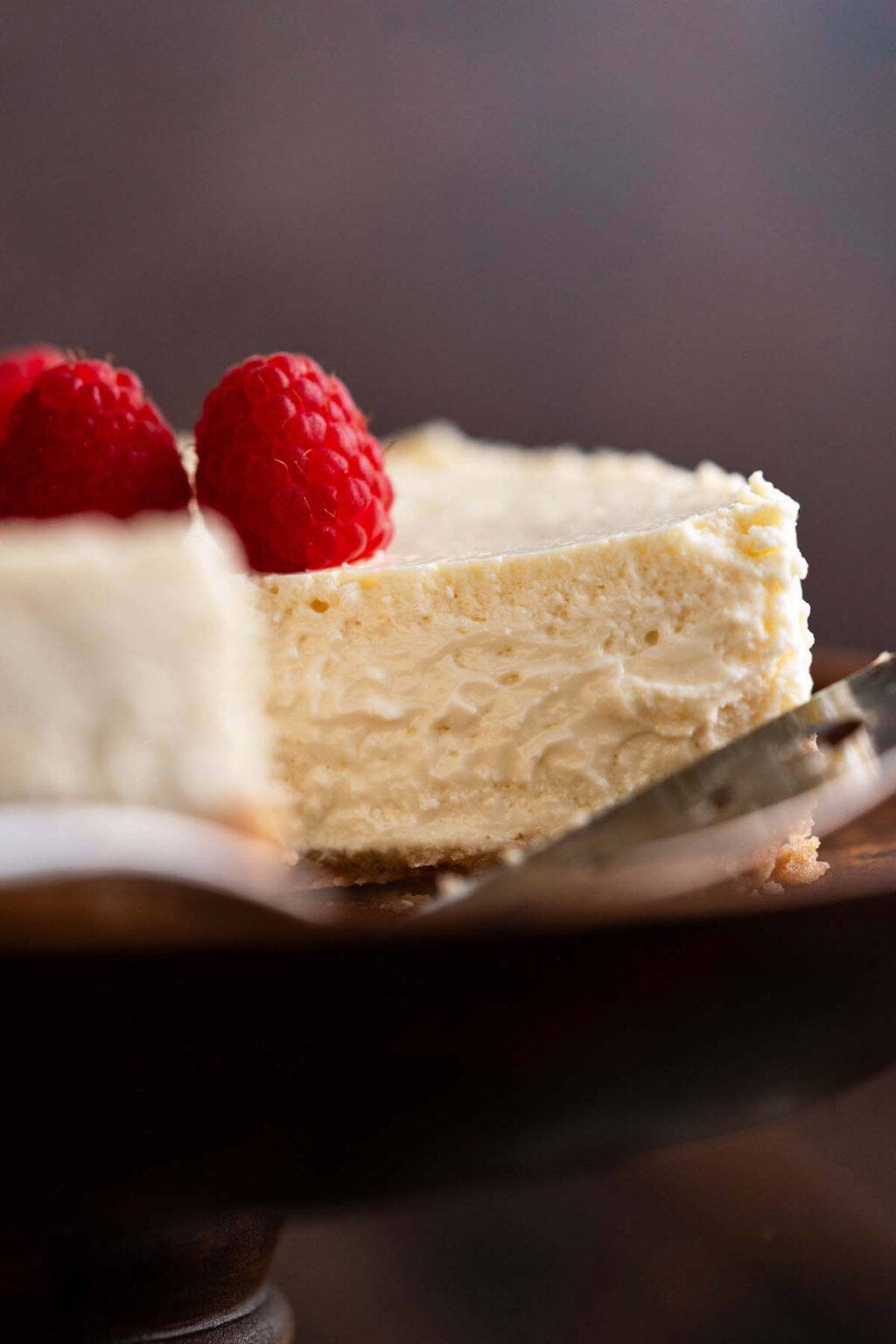 Protein Cheesecake Recipe - An Edible Mosaic™
