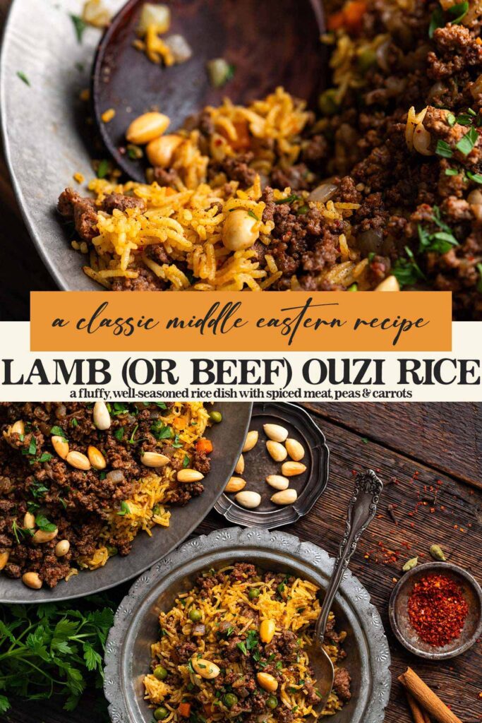 Easy Lamb Ouzi Rice Recipe - An Edible Mosaic™