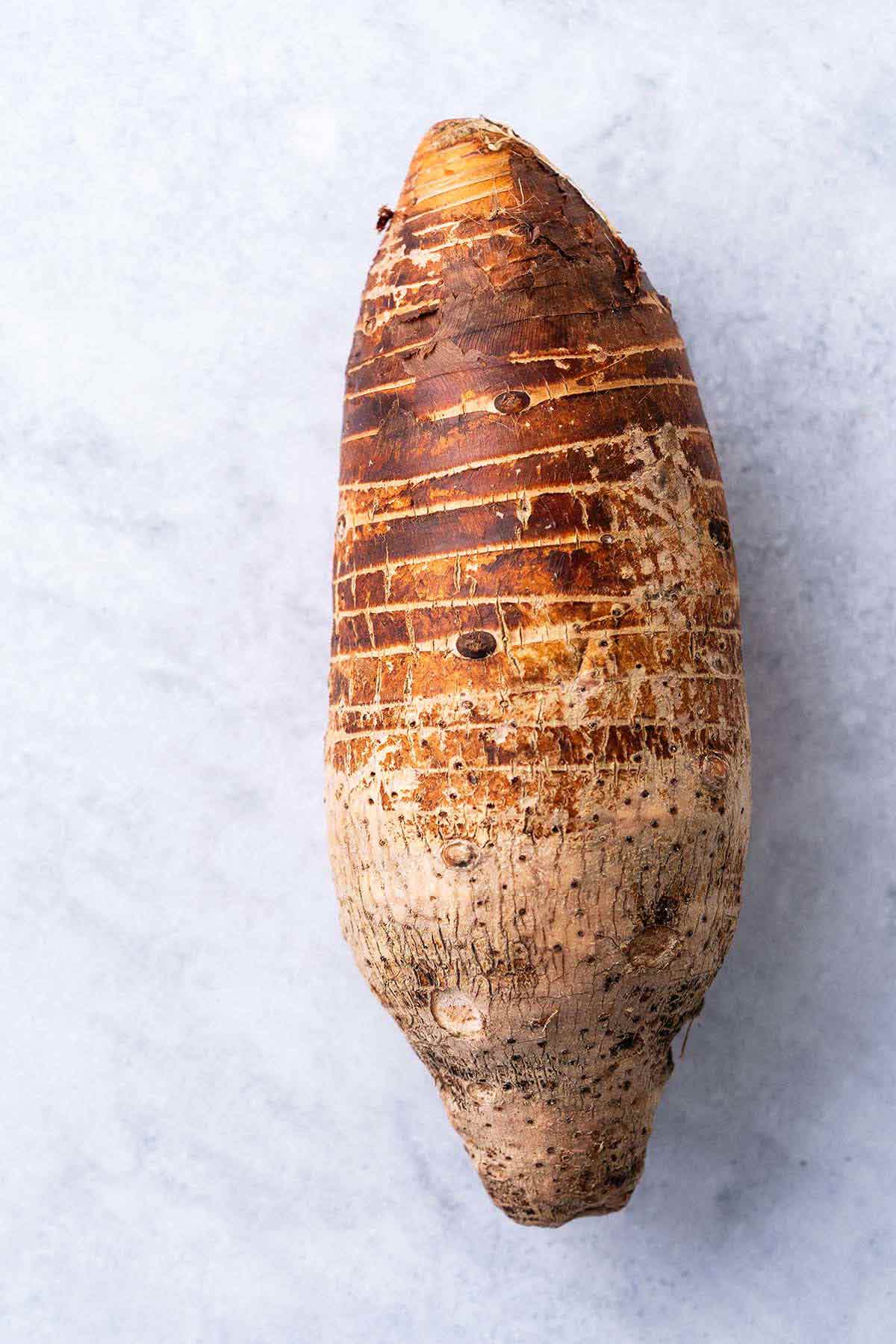 Malanga Coco SHOP WHOLESALE MALANGA COCO | Purvey'd