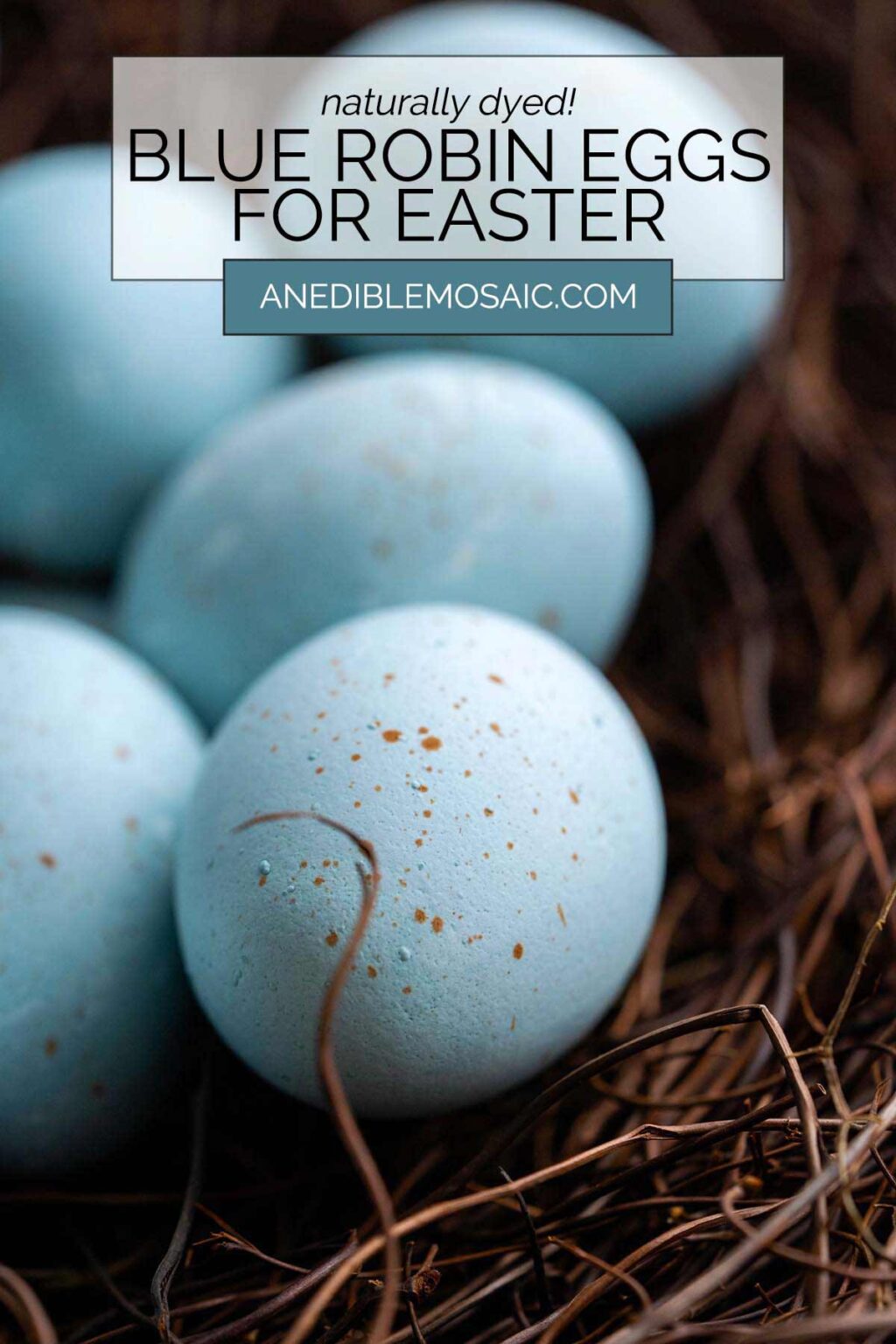 Natural Blue Dye For Coloring Easter Eggs Robin's Egg Blue - An Edible ...