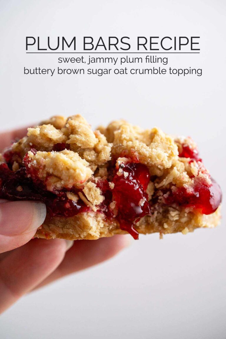 Plum Bars Recipe with Crumble Topping - An Edible Mosaic™